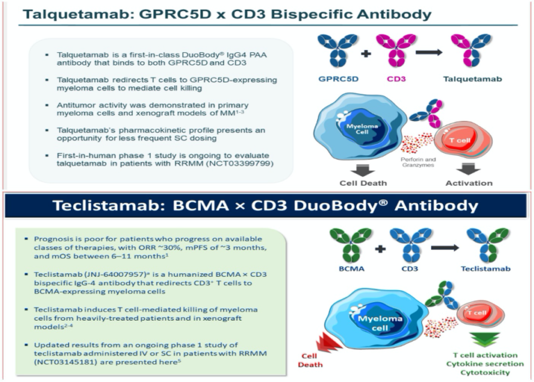 Waist Deep in BiTES – IMF ASH 2020 Blogs